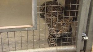 Backstage in de dierentuin